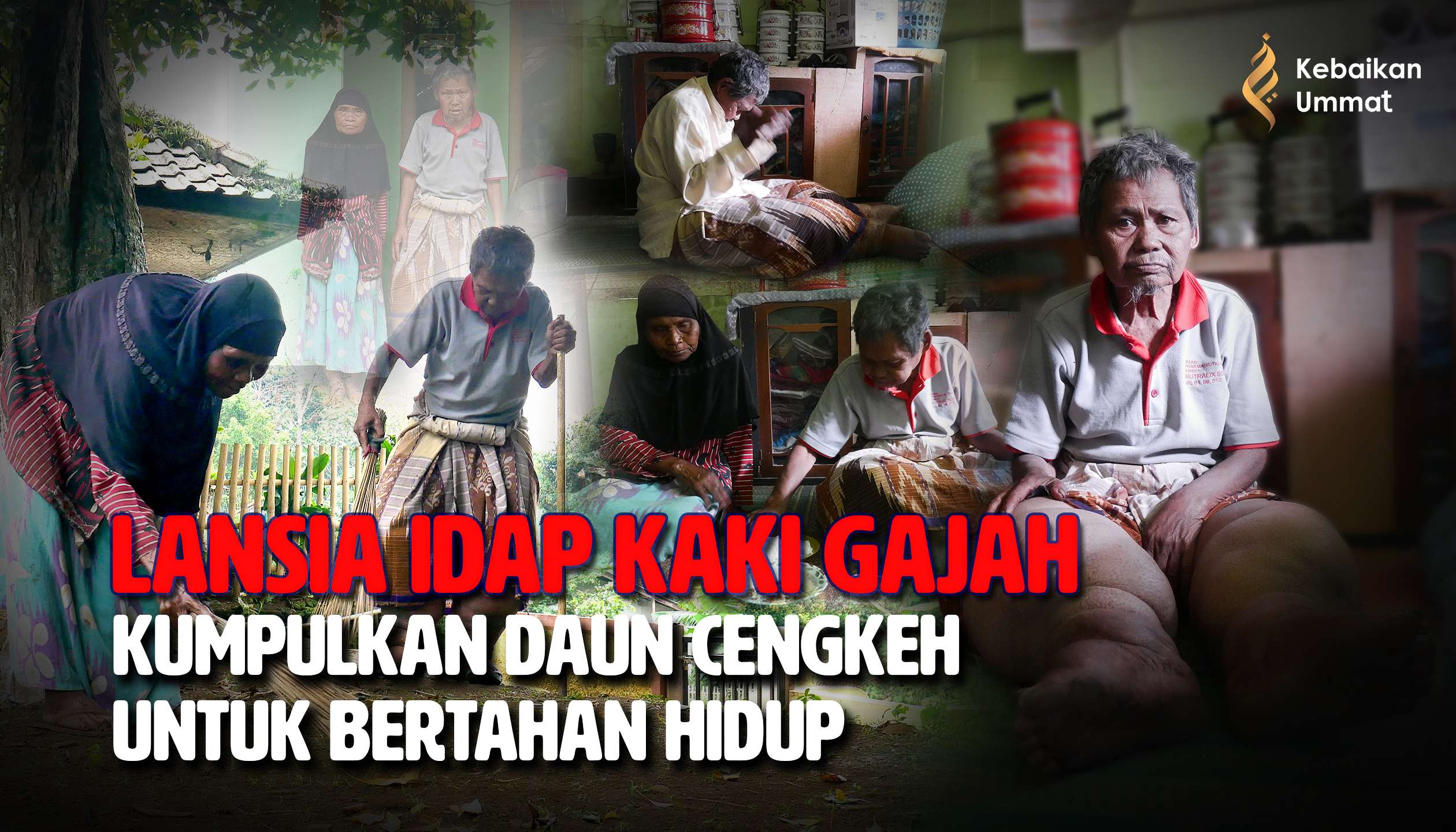 Home - Donasi Kebaikan Ummat